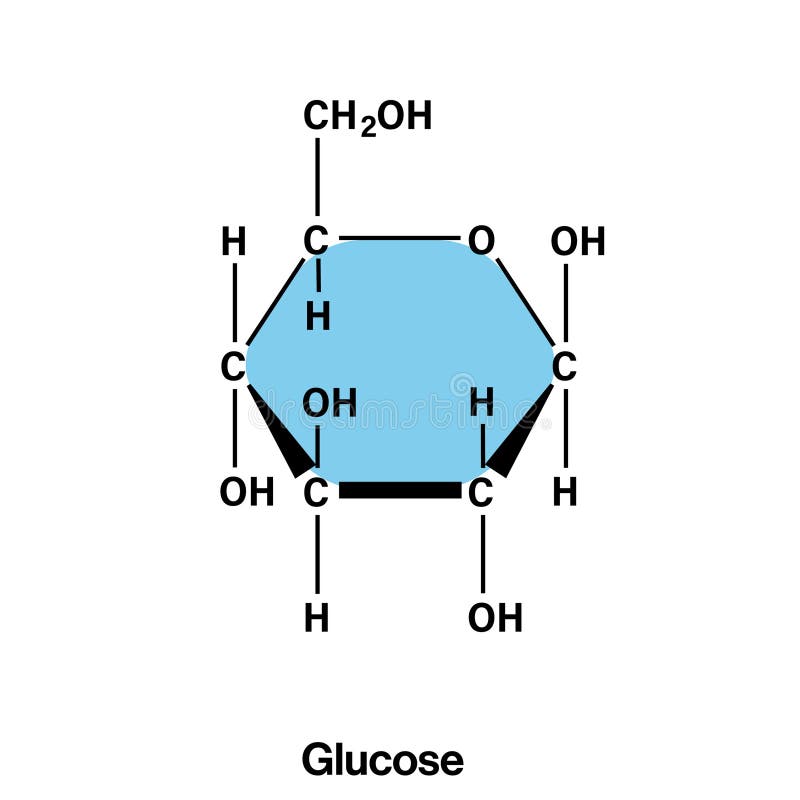 Glucose Chemical Structure Vector Illustration on White Background ...