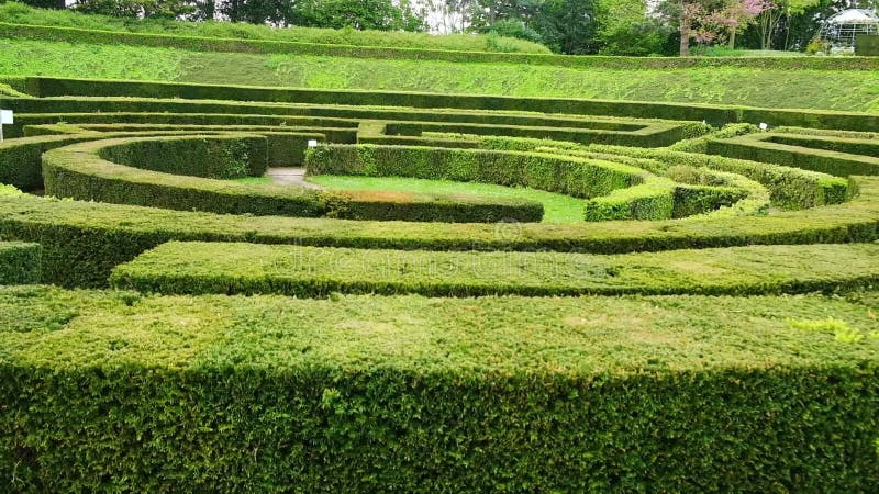 Explore the Intricate Pathways and Lush Greenery of a Captivating ...