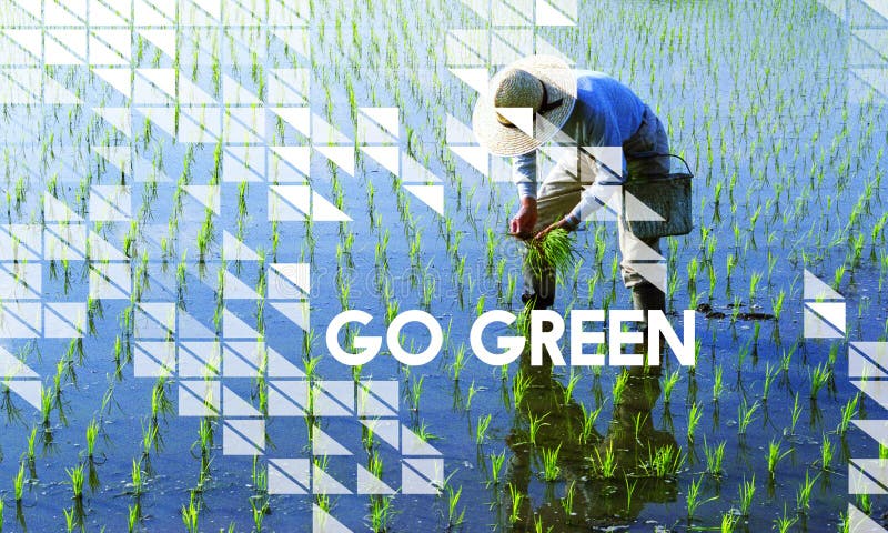 Life on Earth - Environment and Ecology Concept Stock Image - Image of ...