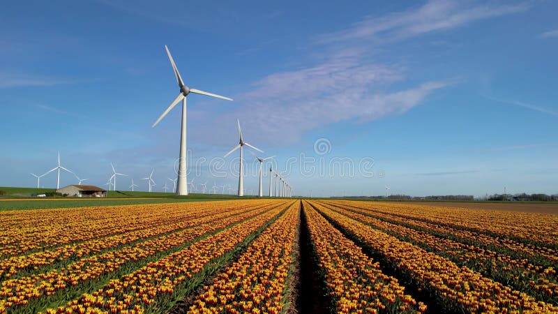 The Stunning Windmill Turbines Stand Tall Amidst the Lush and Vibrant ...