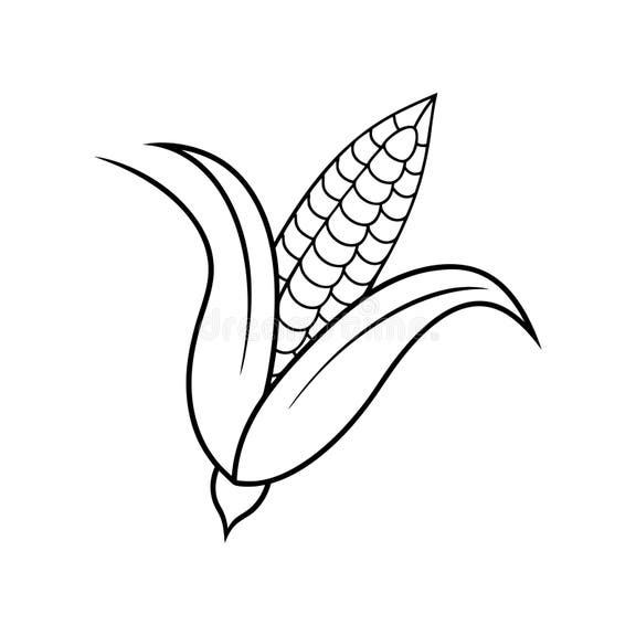 Corn Coloring Page for Kids Collection Vector Illustration Stock Vector ...