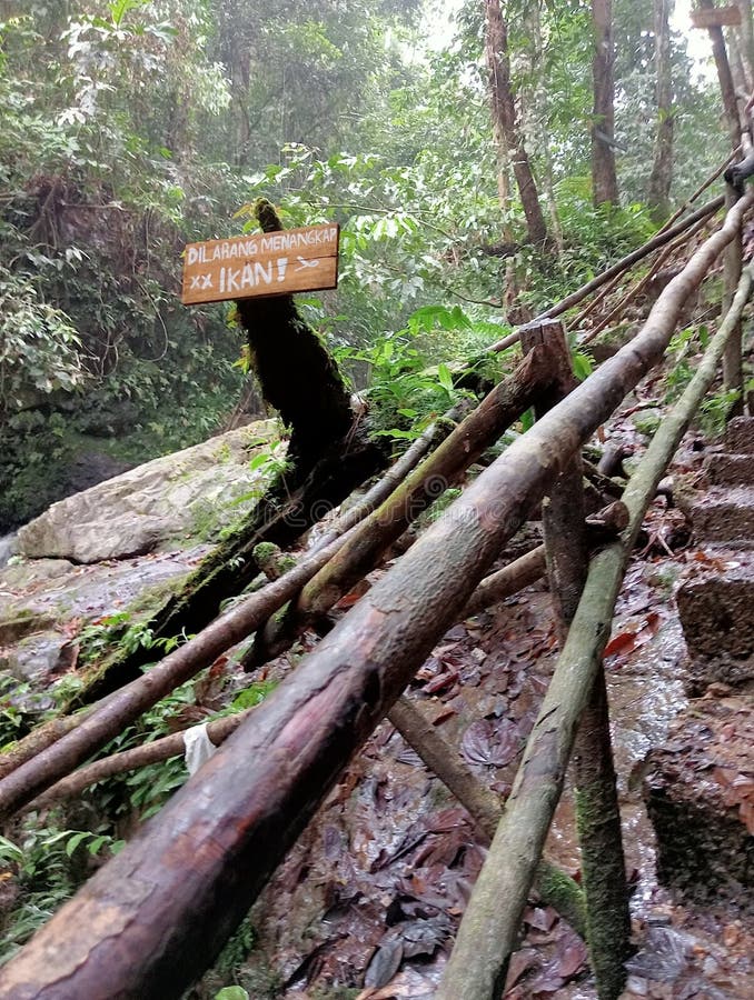 Explore the Outdoors is the Best Experience Stock Image - Image of ...