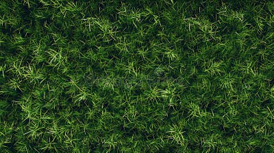 Seamless Artificial Green Grass Texture - Perfect Top View Background ...