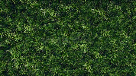 Seamless Artificial Green Grass Texture - Perfect Top View Background ...