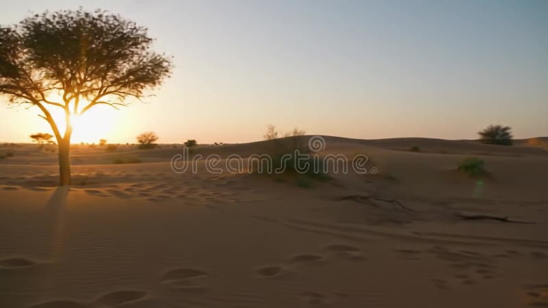 Footprints in the Desert Sand during Sunset with Clear Skies and ...