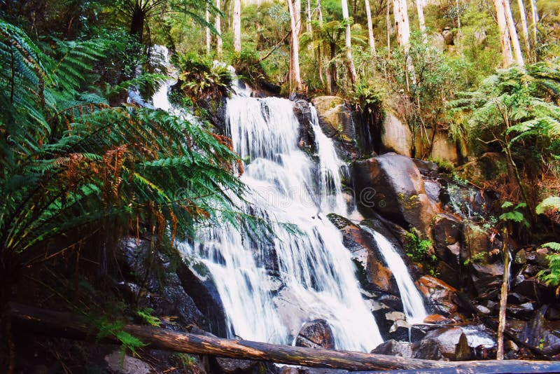 Explore waterfalls stock image. Image of sunshine, noojee - 128194579