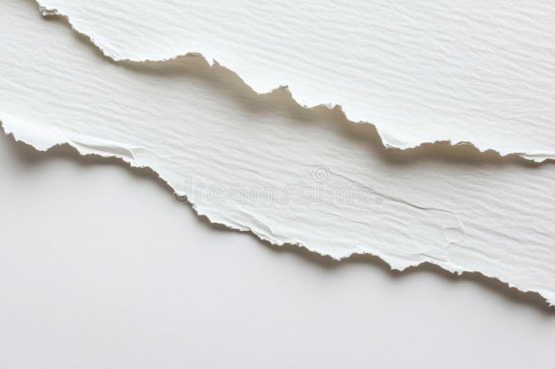 Explore White Paper Texture Reveals a Torn Edge with Neutral Aesthetic ...