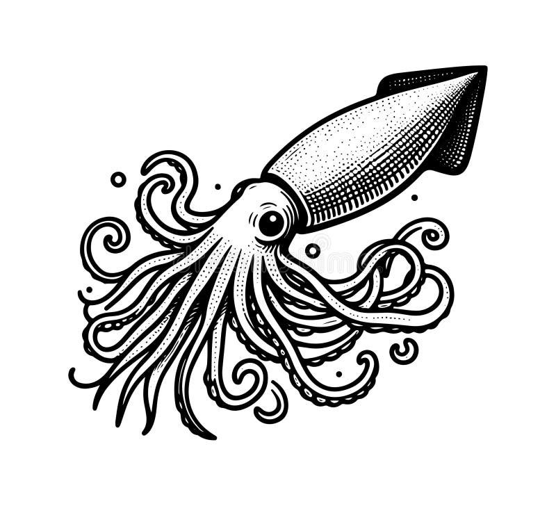 Squid Hand Drawn Sketch Vector Illustration Vintage Graphic Stock ...