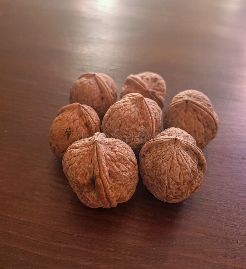 Explore the World of Walnut Seeds Stock Image - Image of nutrition ...