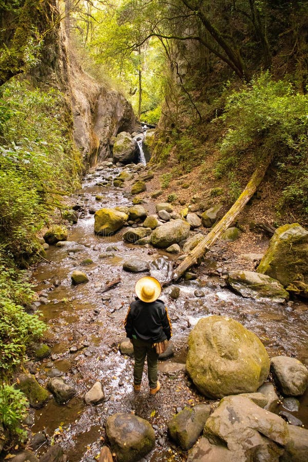 Explorer Going through a Forest with Rivers Stock Photo - Image of ...