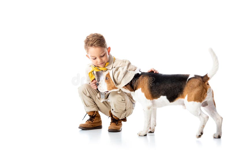 Explorer Kid Stroking Beagle Dog in Hat on White Stock Photo - Image of ...
