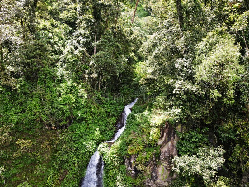 Explorer Siji Waterfall Pujon Stock Photos - Free & Royalty-Free Stock ...