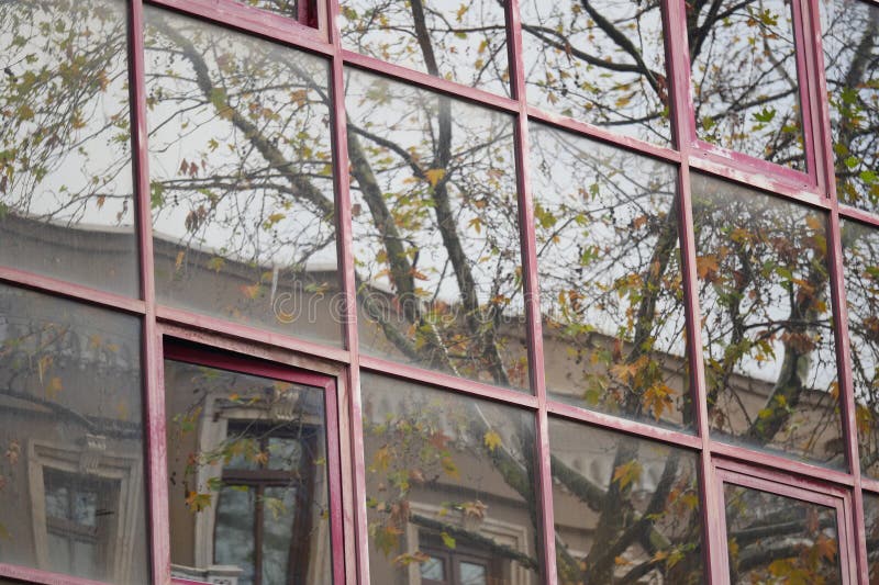 Exploring the Aesthetic Reflections of Nature within Urban Architecture ...