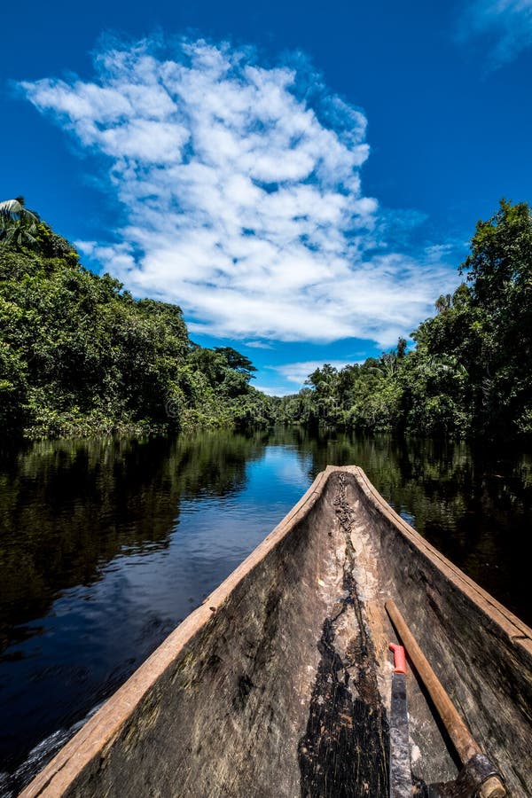 Deep in the Amazon Jungle stock photo. Image of south - 97421424