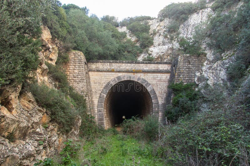 Zitoun Stock Photos - Free & Royalty-Free Stock Photos from Dreamstime