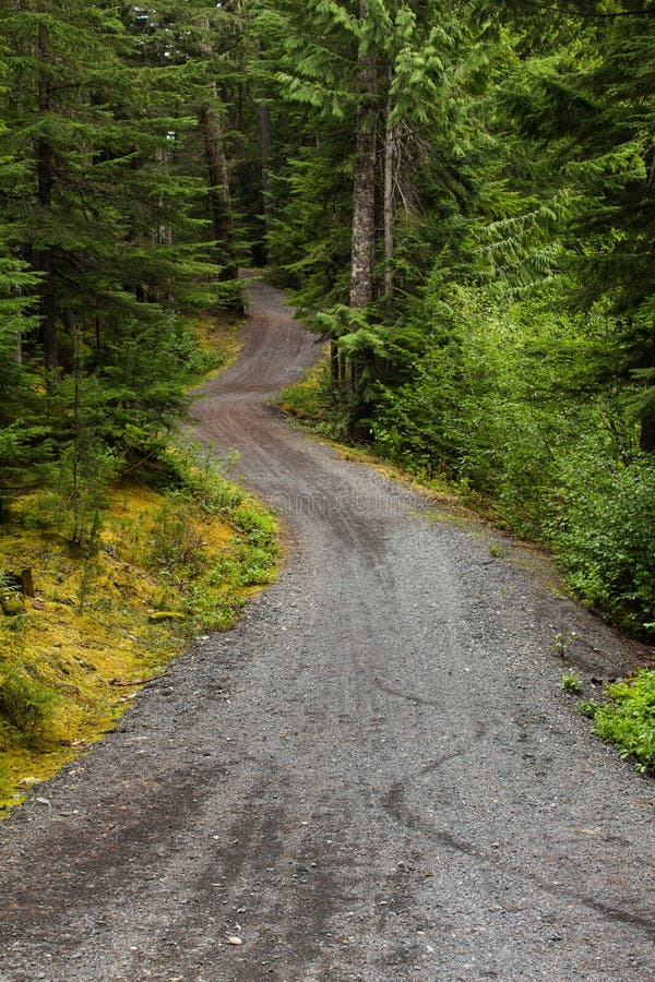 Windy Trail in Forest in British Columbia, Canada Stock Photo - Image ...