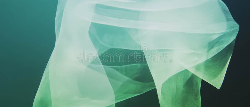 Exploring the Beauty of Transparent Layers and Overlapping Shapes in ...