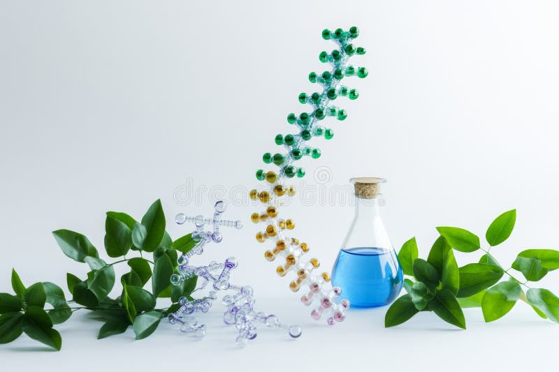 Exploring Biology and Nature with DNA Models, Plants, and Colorful ...