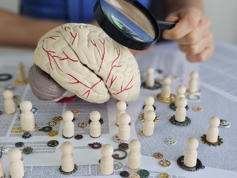 Exploring the Complexities of the Brain with a Magnifying Glass at a ...