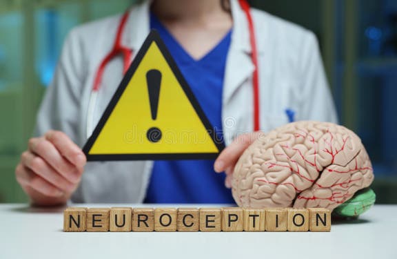 Exploring the Concept of Neuroception a Crucial System in the Brain ...