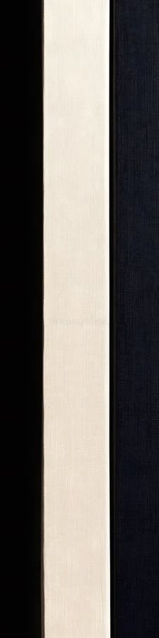 Exploring the Contrast, a Study in Light, Dark, and Textured Surfaces ...