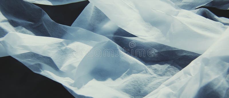Exploring the Delicate Transparency and Texture of Rice Paper in ...