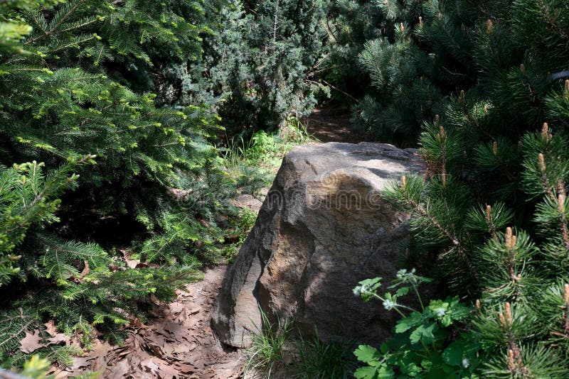 Exploring a Hidden Rocky Nook in a Lush Garden Stock Image - Image of ...