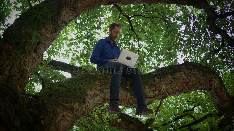 Exploring the Intersection of Technology and Nature a Person Working on ...