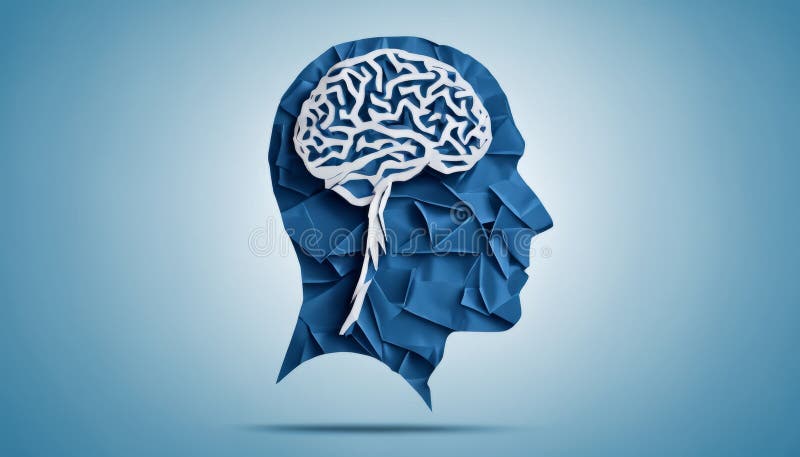 Exploring the Intricate Folds of the Human Brain Stock Illustration ...