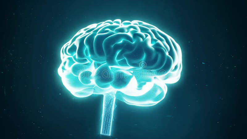 Exploring the Intricate Structure and Functions of the Human Brain in a ...