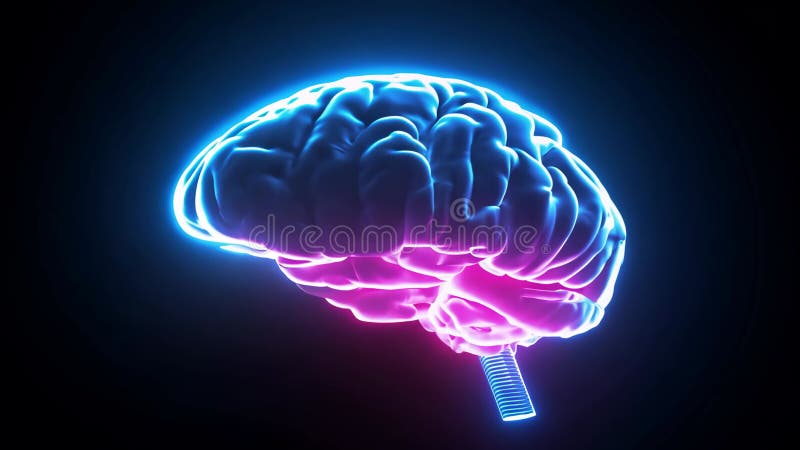 Exploring the Intricate Workings of the Human Brain with Vivid Neon ...