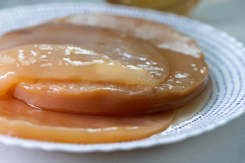 Exploring the Intriguing Layers of Kombucha SCOBY in the World of ...