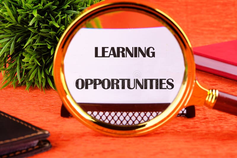 Exploring Learning Opportunities in Business and Finance through ...