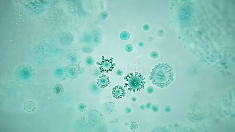 Exploring Microscopic Organisms in a Freshwater Sample Under a ...