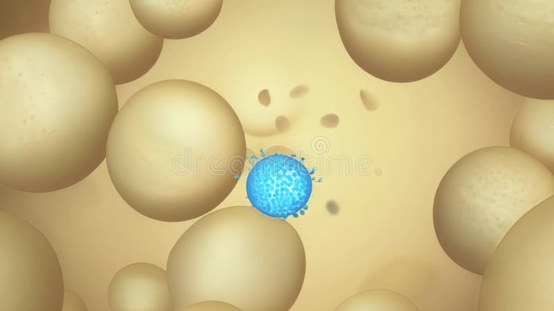 Exploring the Microscopic World of Cells and Their Structures in a ...