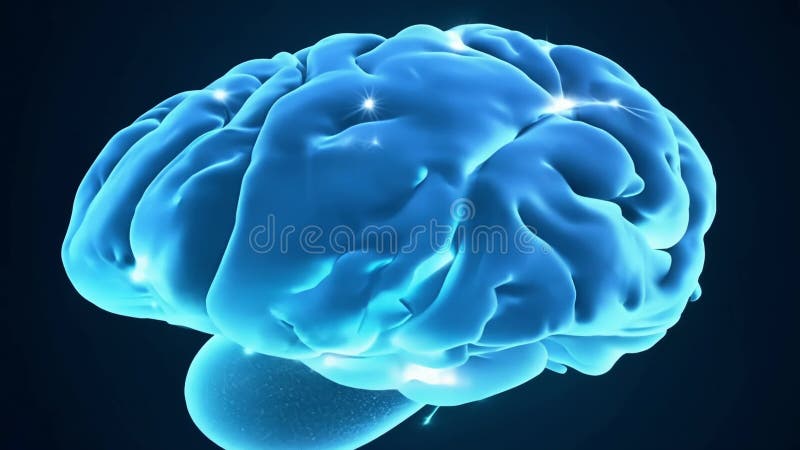 Exploring the Mysteries of the Human Brain and Its Fascinating ... Exploring the Mysteries of the Human Brain and Its Fascinating ...
