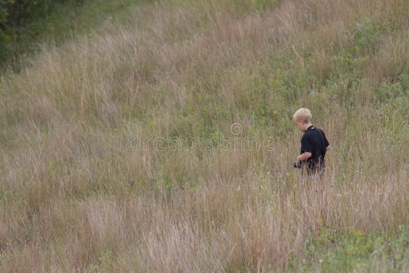 Exploring Nature stock image. Image of young, grass, nature - 26120339