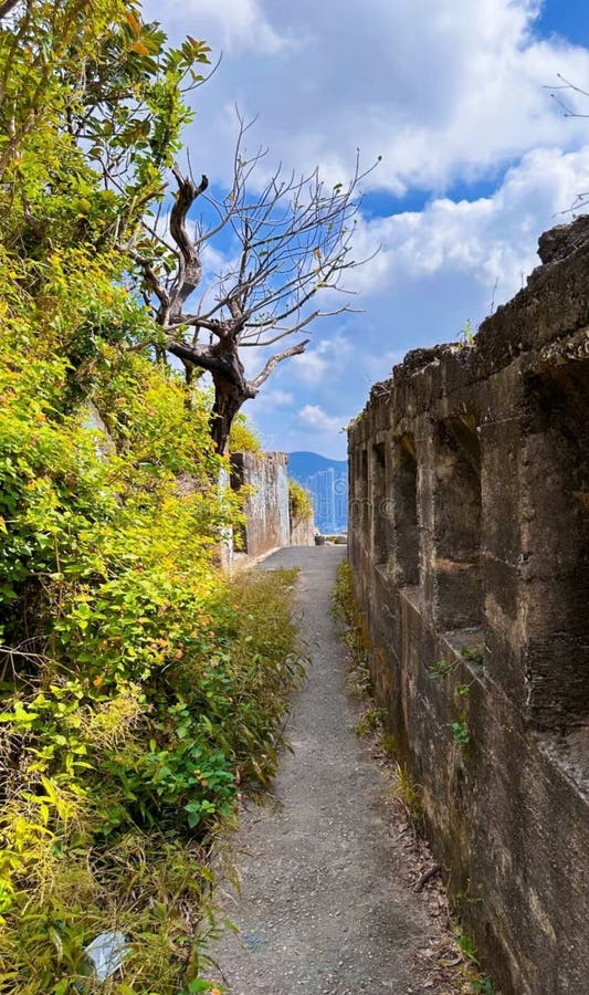 Exploring Nature: Each Image Tells a Journey Stock Image - Image of ...