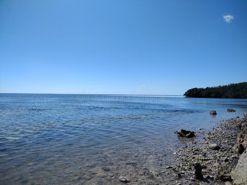 Exploring Nature in the Florida Keys Stock Image - Image of horizon ...