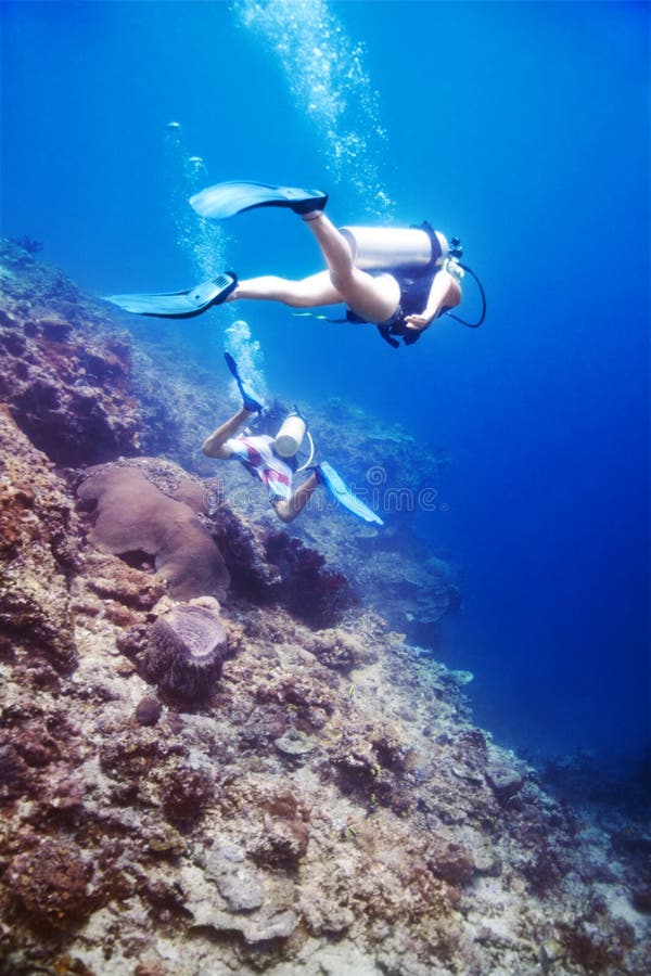 Exploring Natures Depths. Two Divers Swimming Along the Edge of a ... Exploring Natures Depths. Two Divers Swimming Along the Edge of a ...