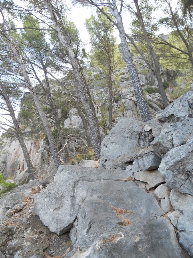 Exploring Rocky Paths in a Mountainous Area Stock Photo - Image of ...