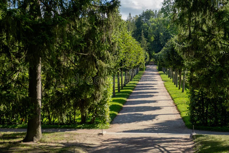 Exploring the Serene Pathways of Catherine Palaces Gardens Surrounded ...