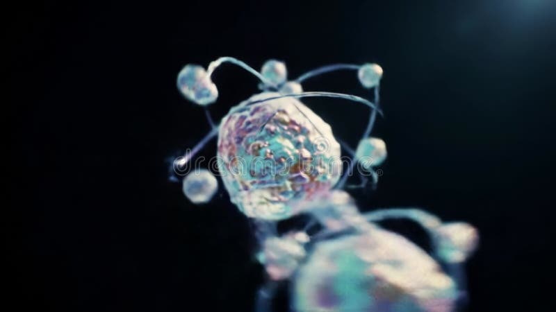 Exploring the Structure and Behavior of Atoms in a Stunning Visual ...