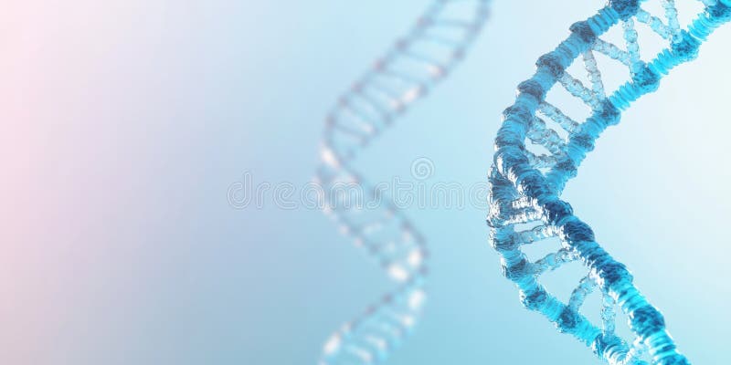 Exploring the Structure of DNA Helix on a Calming White and Blue ...