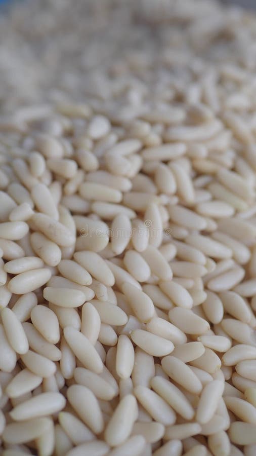 Exploring the Texture and Use of Raw Pine Nuts in Cooking Stock Video - Video of fats, diet ...