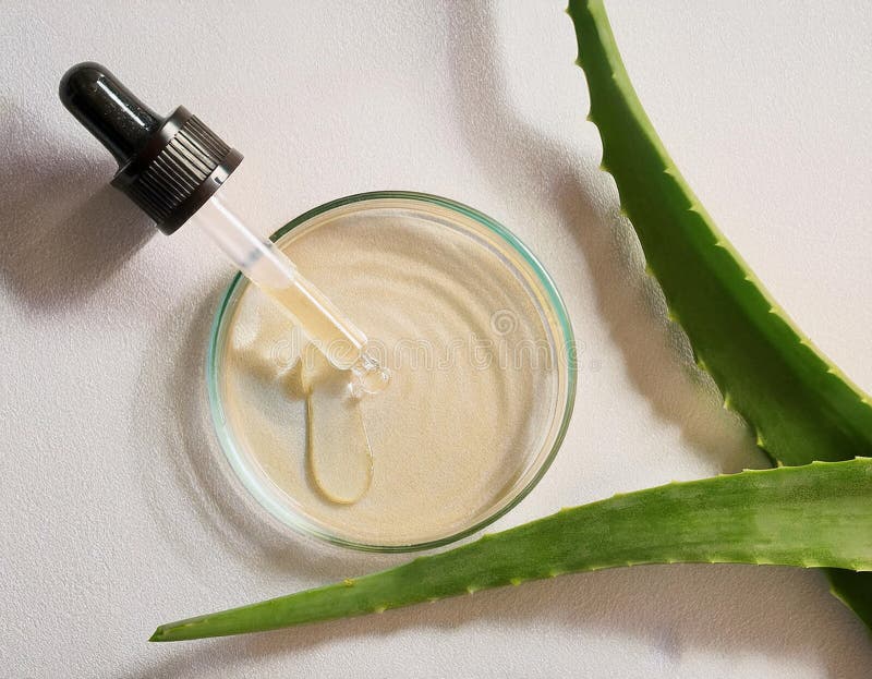 Exploring the Therapeutic Potential of Aloe Vera Extract in Laboratory ...