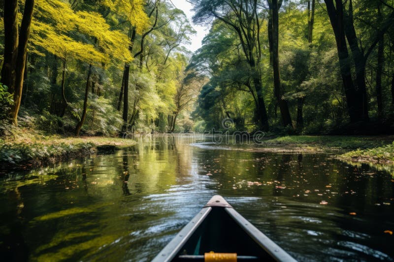 Exploring the Thrills of Kayaking a Journey through Scenic Waterways ...