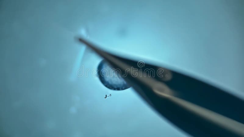 Exploring a Tiny Organism S Structure in Clear Water Under High ...