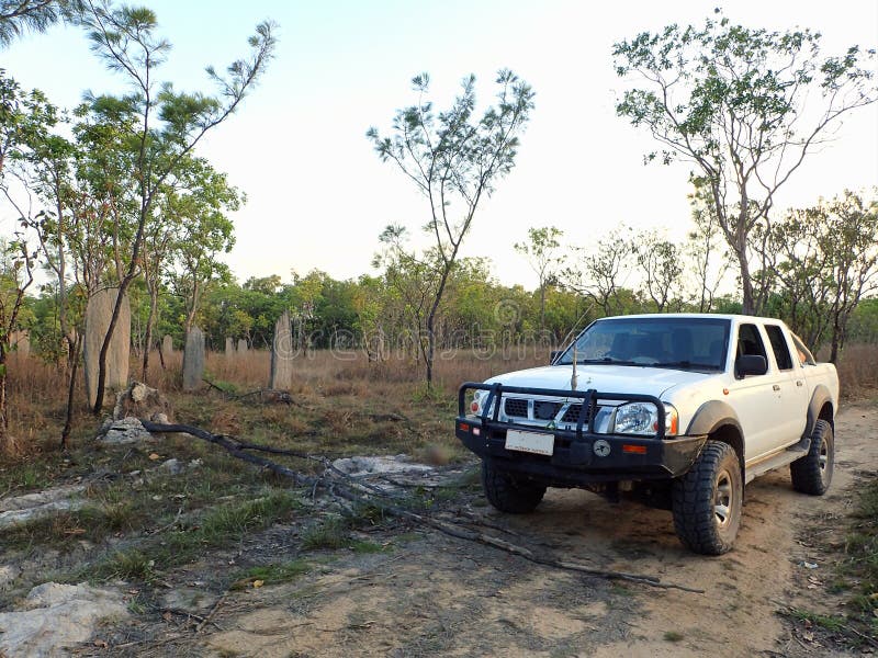 Exploring the bush stock image. Image of outdoor, nationalpark - 3510675