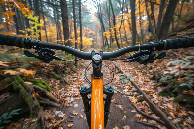 Exploring a Trail in the Forest on a Mountain Bike Stock Photo - Image ...